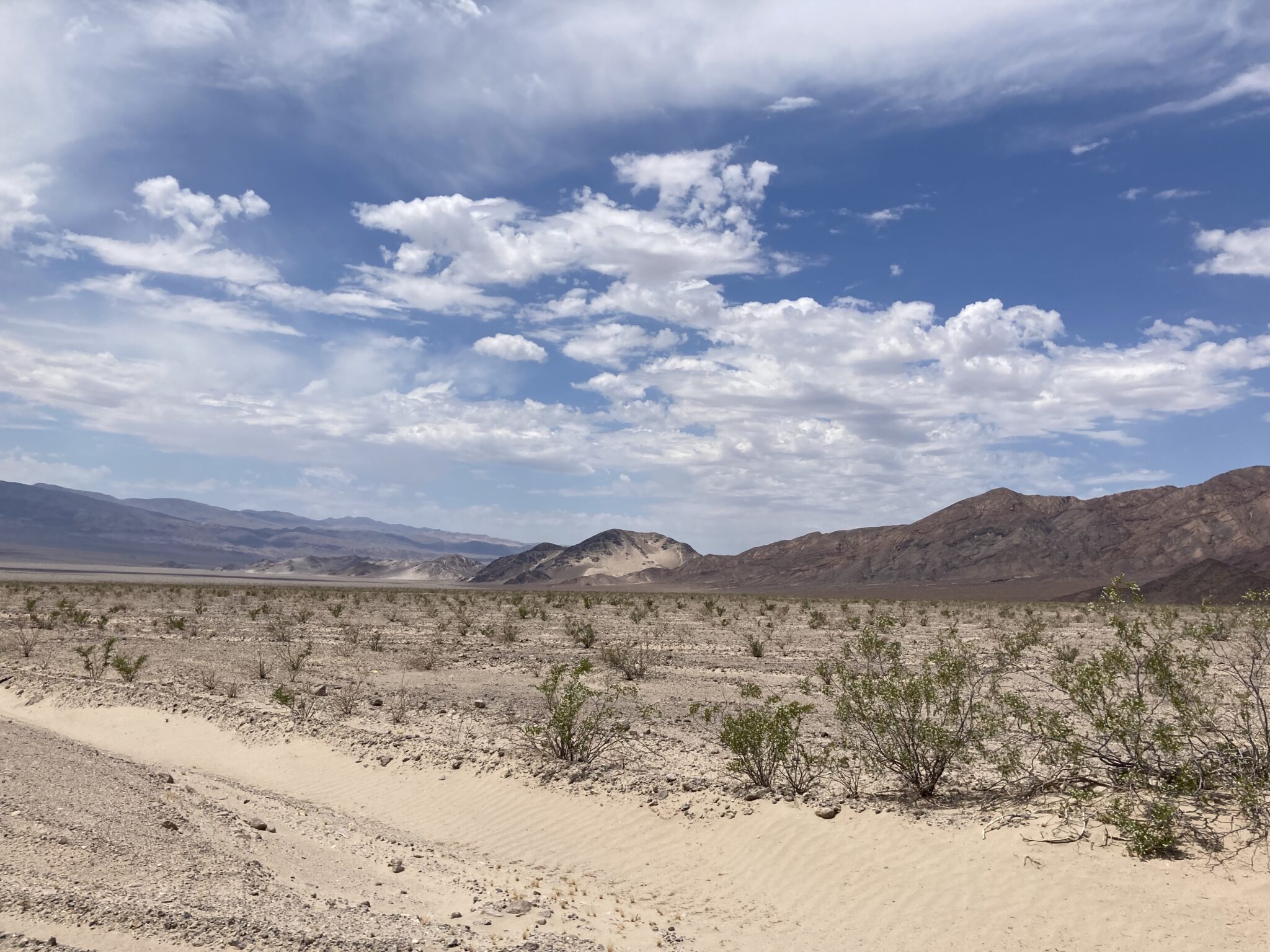 Exploring Dumont Dunes: An Off-Road Enthusiast’s Paradise - TecopaCabana